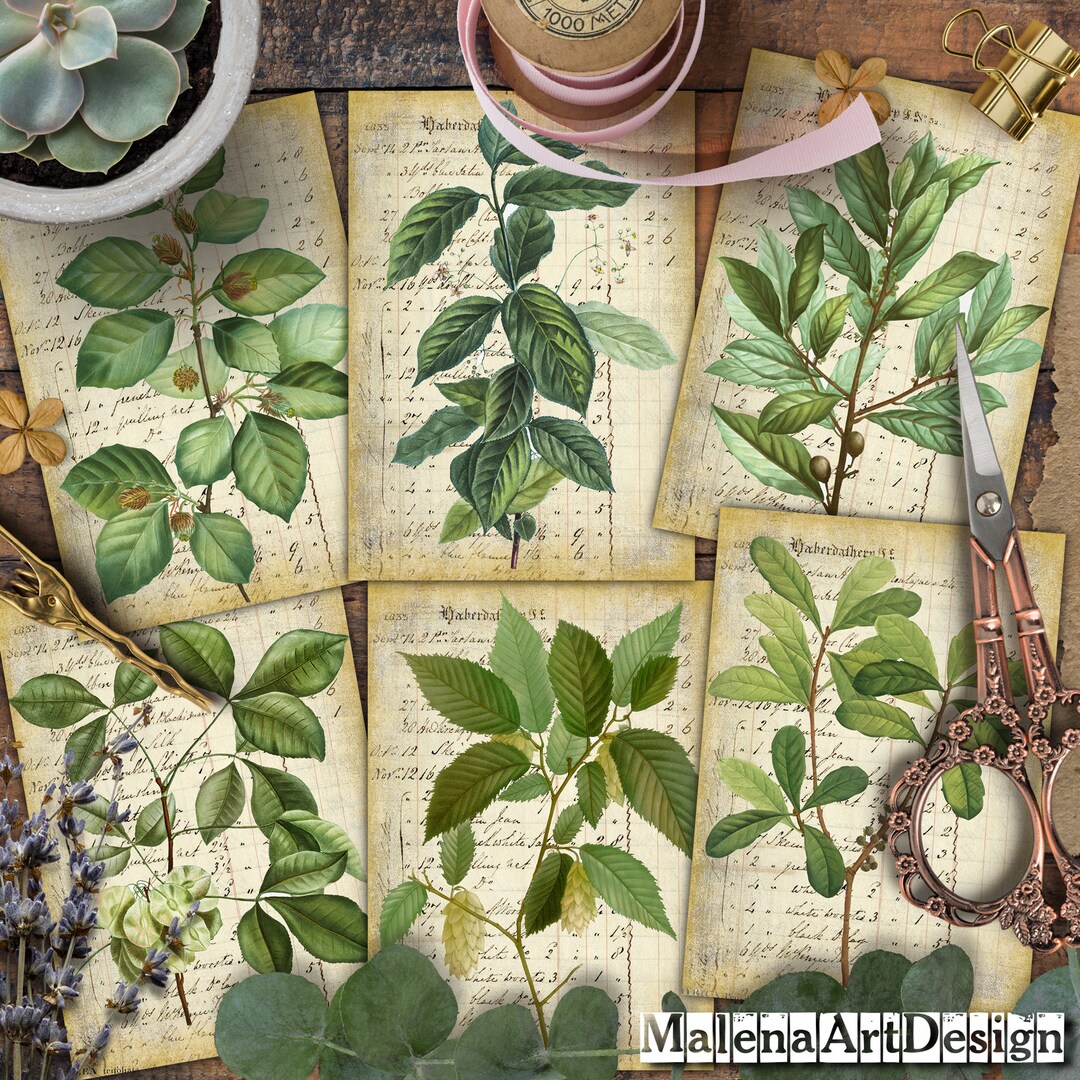 Botanical, Digital Cards Printables, Vintage, CARD, Papers for Crafts ...
