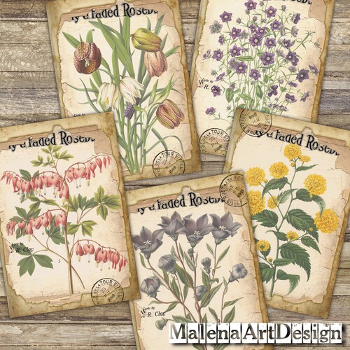 Botanical Digital Cards Printables Vintage CARD Papers for - Etsy