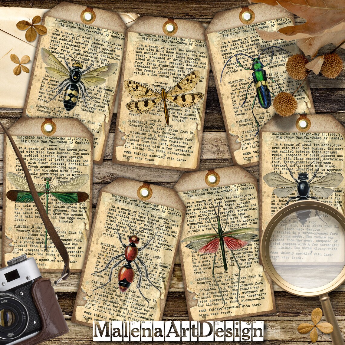 Insects Cards Papers Digital Cards Printables Scrapbook - Etsy