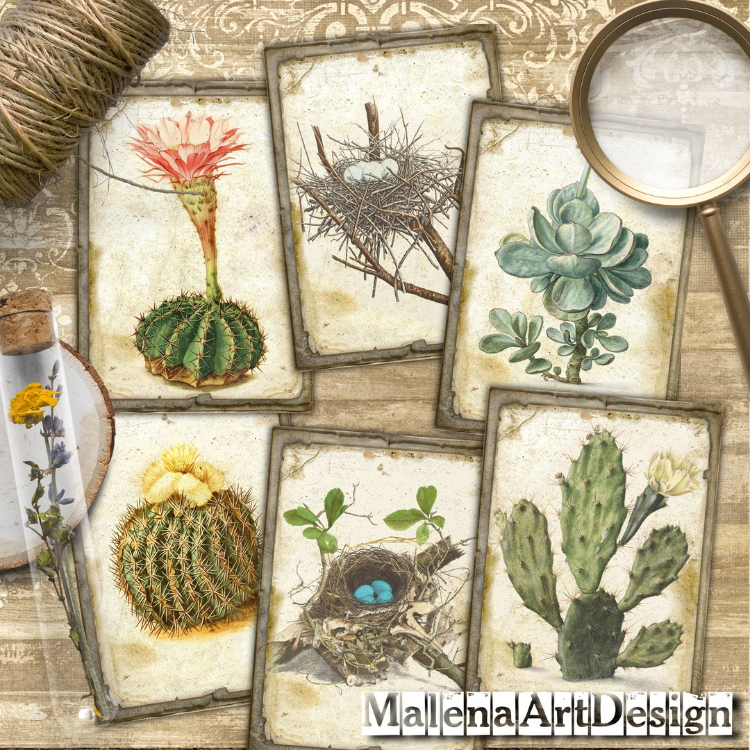 Botanical, Digital Cards Printables, Vintage, CARD, Papers for Crafts ...