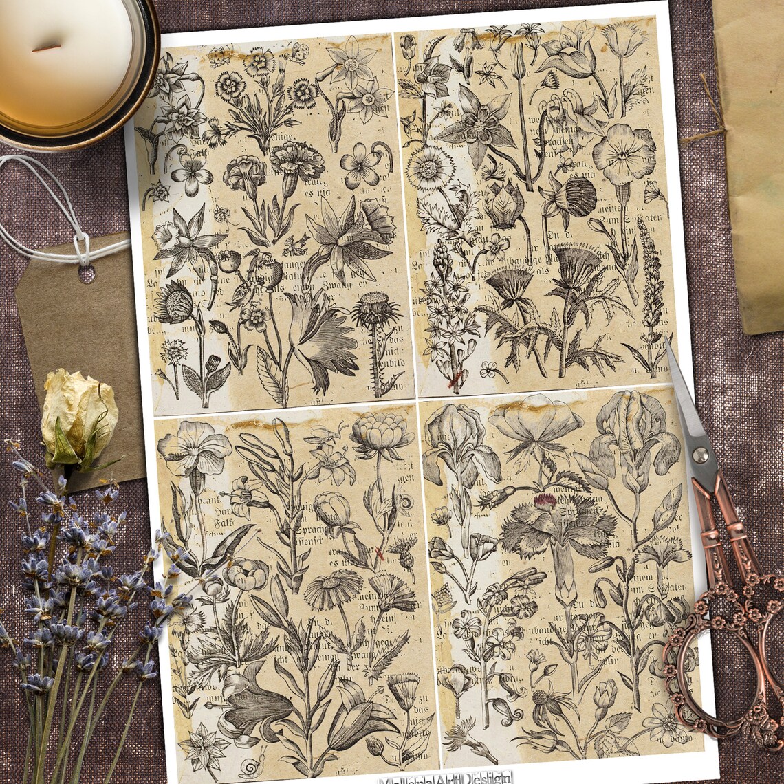 Papers Botanical Vintage CARD Digital Cards Printables - Etsy