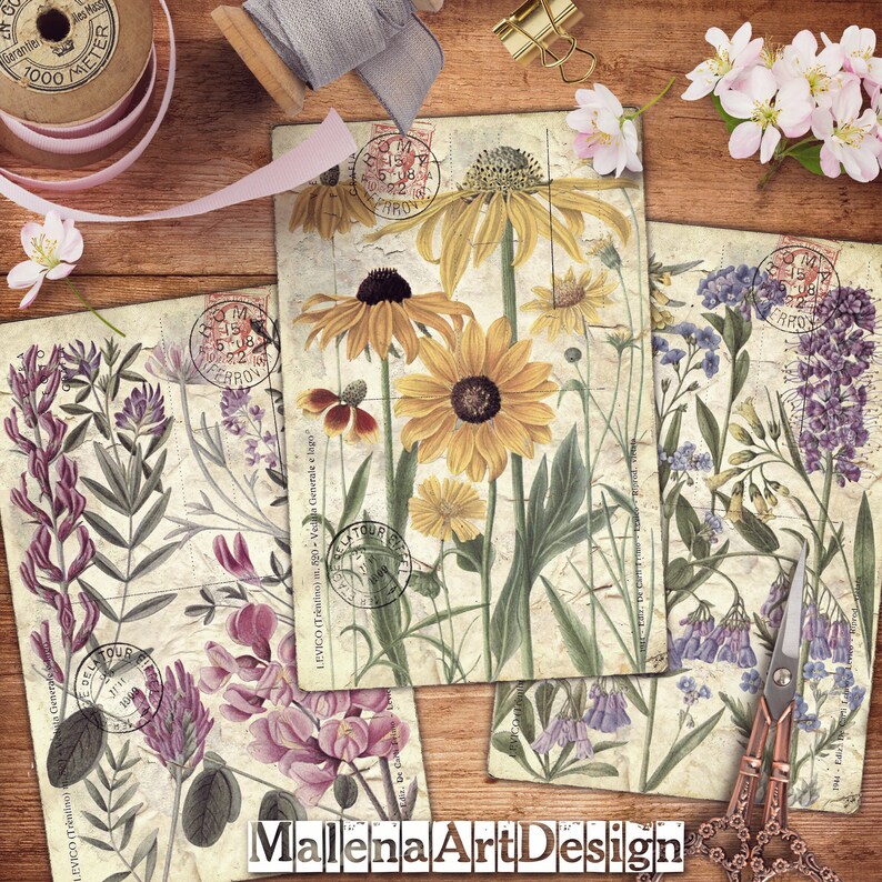 Botanical Digital Cards Printables Plants Vintage Papers - Etsy