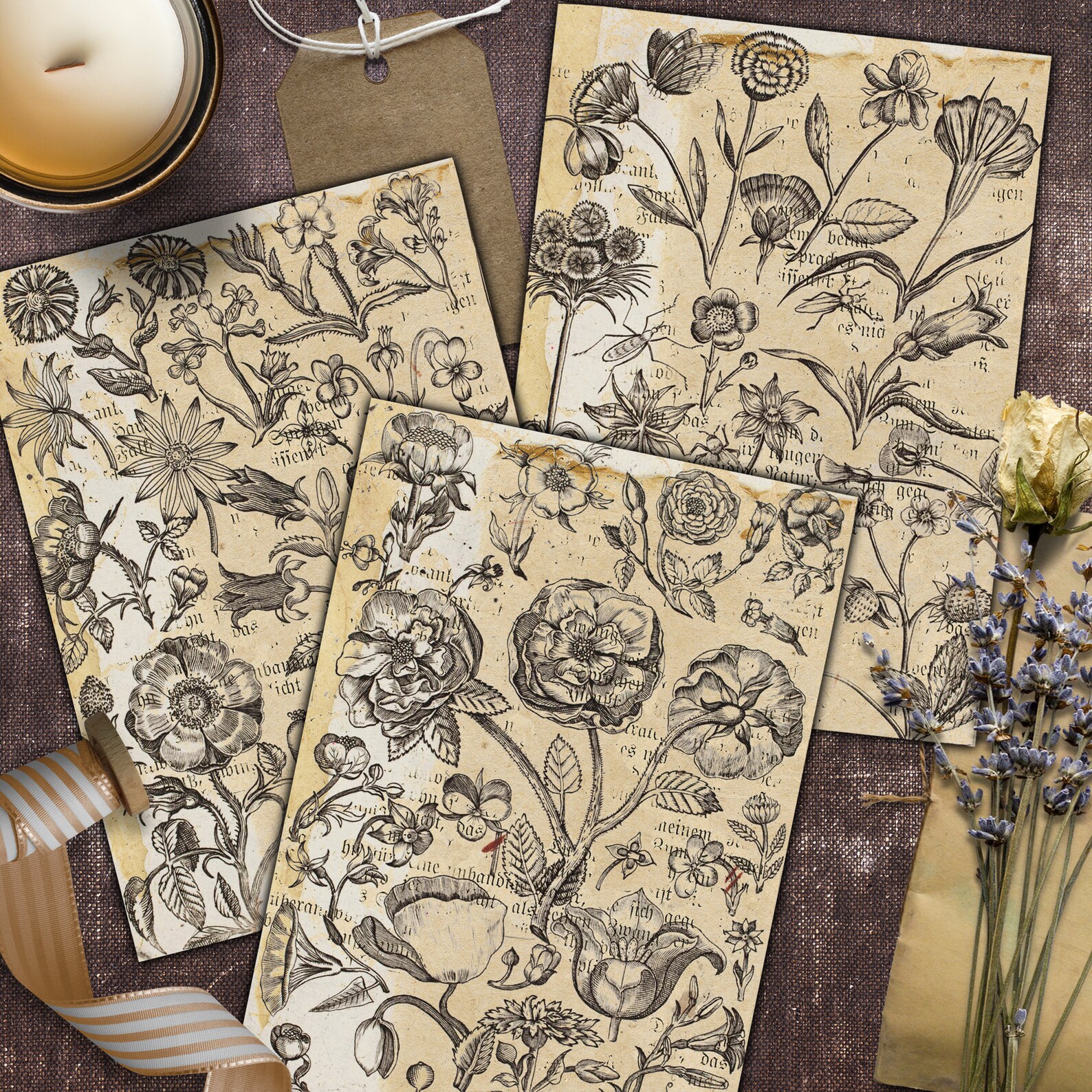 Papers Botanical Vintage CARD Digital Cards Printables - Etsy