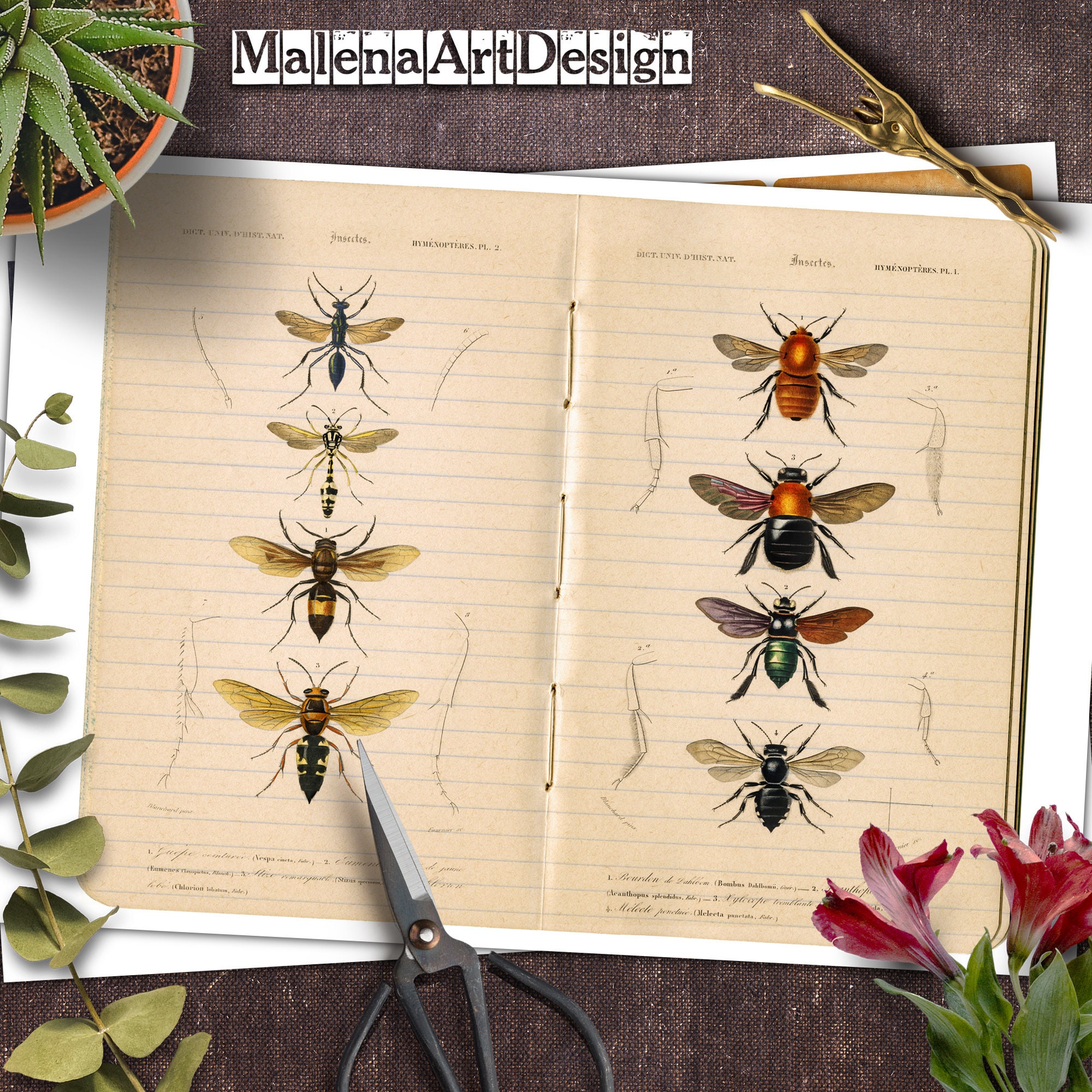 Insects Cards Papers Digital Cards Printables Scrapbook - Etsy