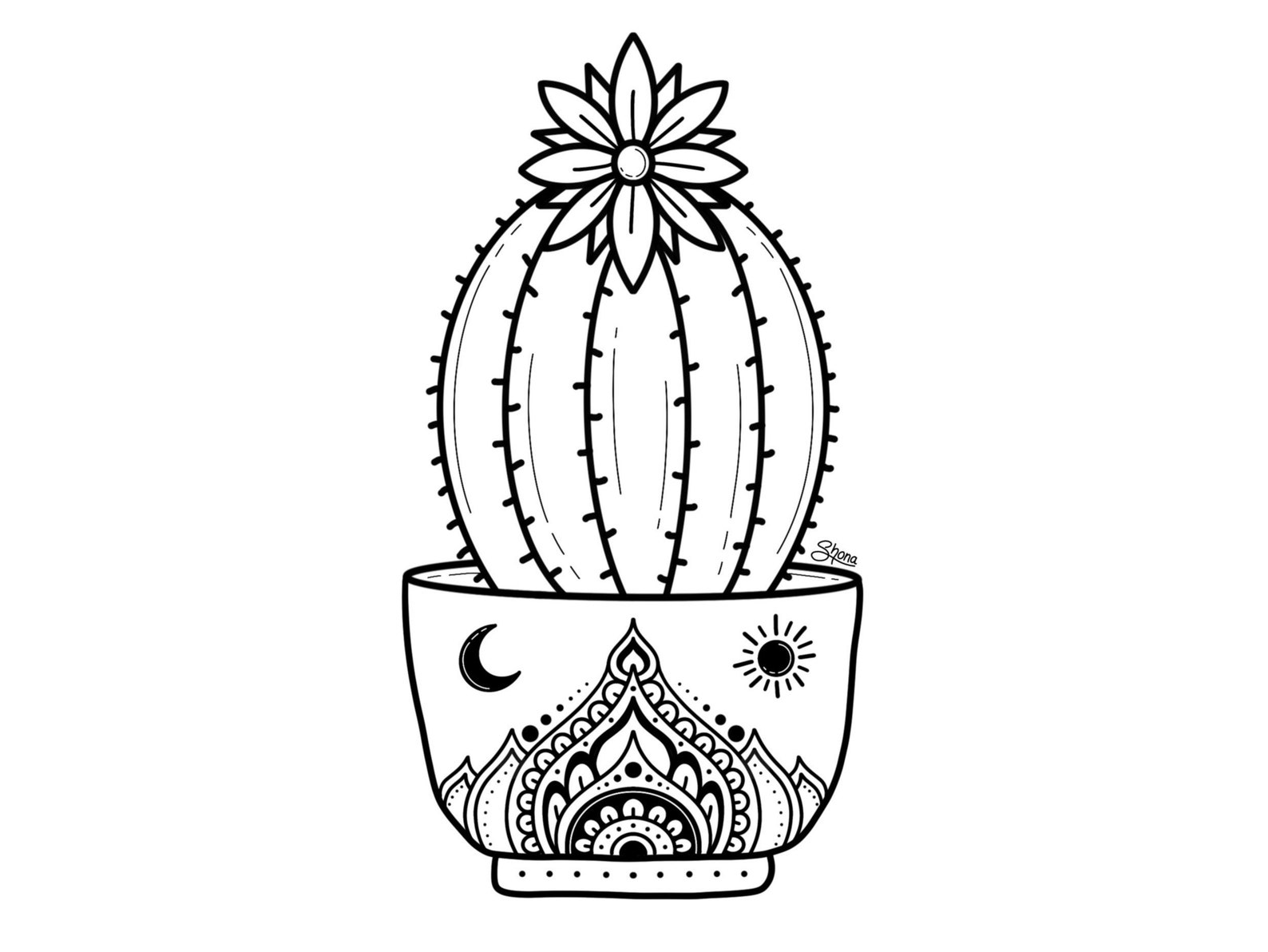 Cactus Plant With Flower in Mandala Planter Boho Wall Art - Etsy