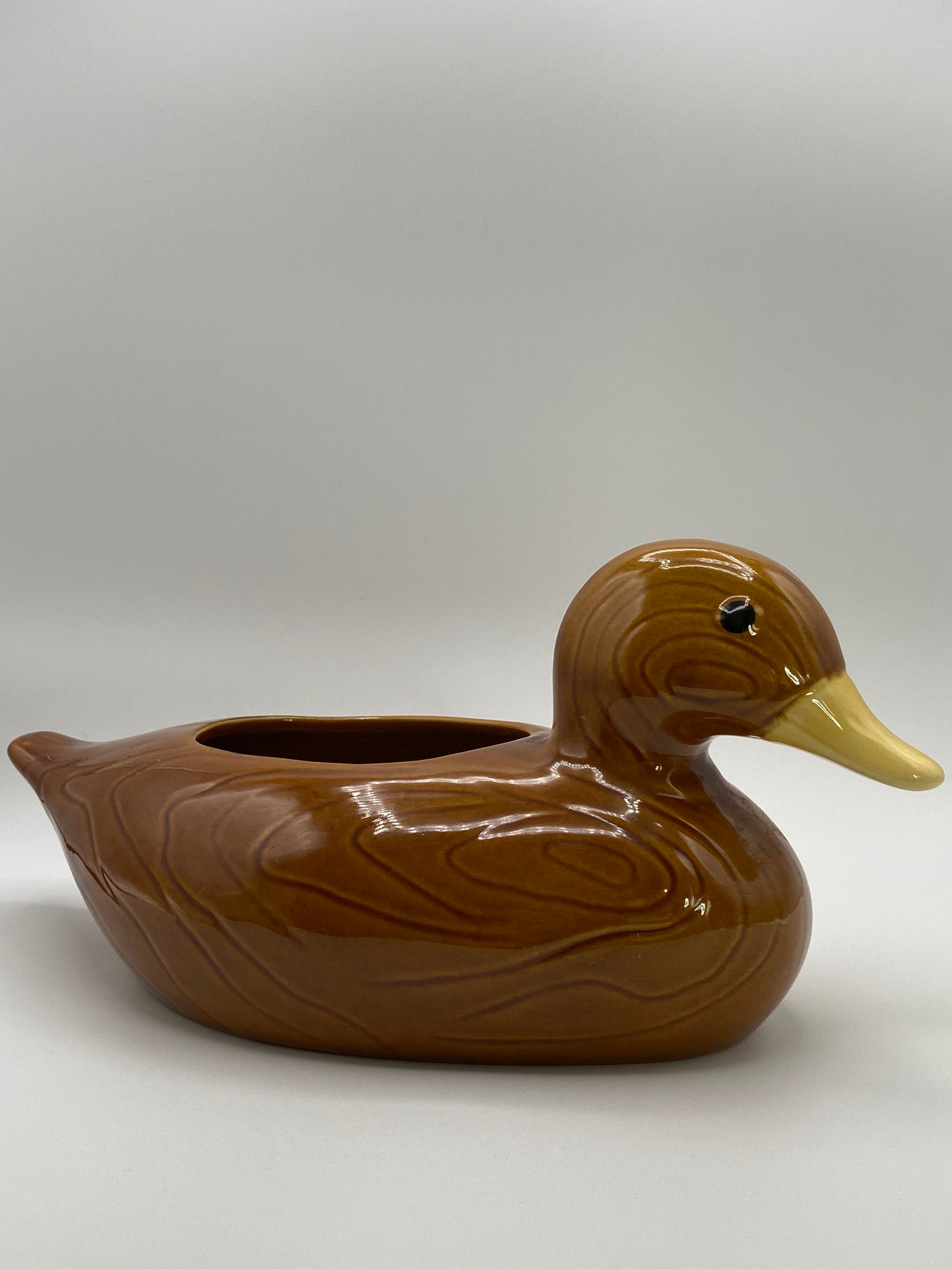 Home & Living Indoor Planters Ceramic duck planter. etna.com.pe