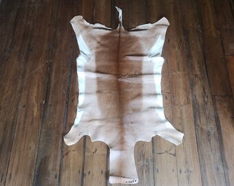 Impala Skin Rug - Etsy UK