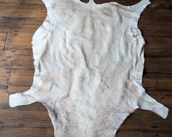 Taxidermy - A Vintage Rare White Blesbok Pelt, Skin, Hide Rug. Large ...