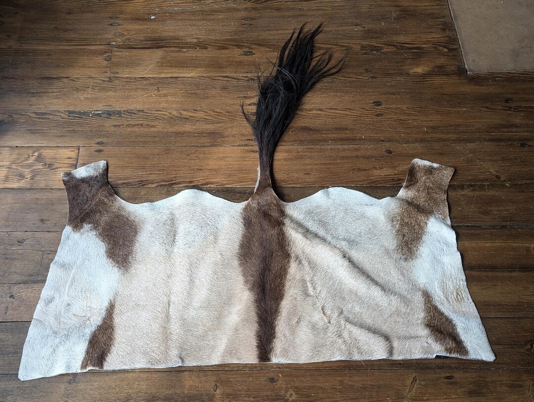 Taxidermy - A Vintage Gemsbok Oryx Flank Pelt, Hide, Skin Rug. Large ...