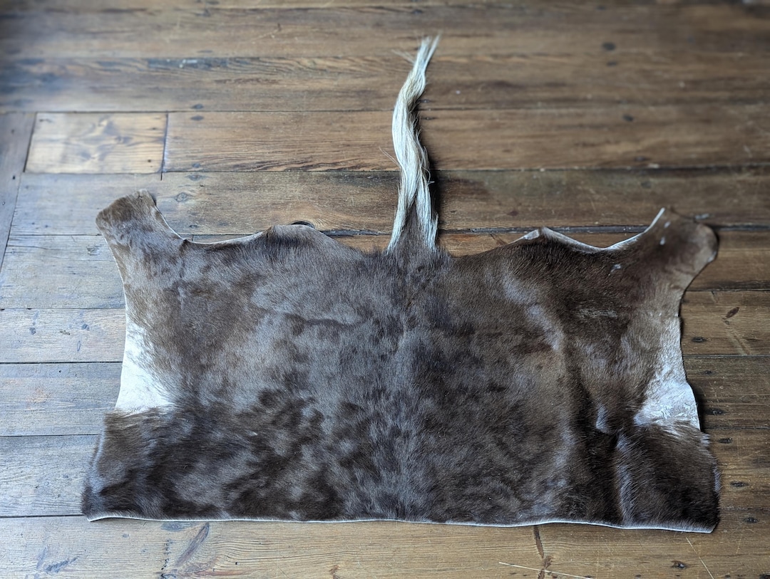 Taxidermy - A Vintage Adult Black Wildebeest (gnu) Flank Pelt, Hide ...