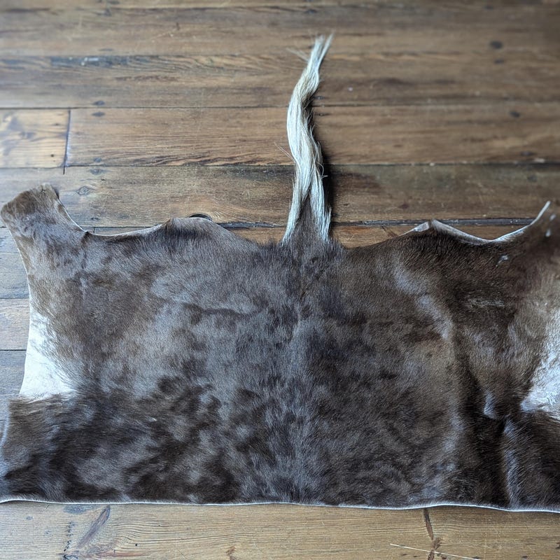 Real Bear Skin Rug - Etsy