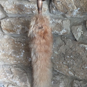 A Fantastic Vintage Taxidermy Red Fox Head Mount With Hanging Tail. in ...