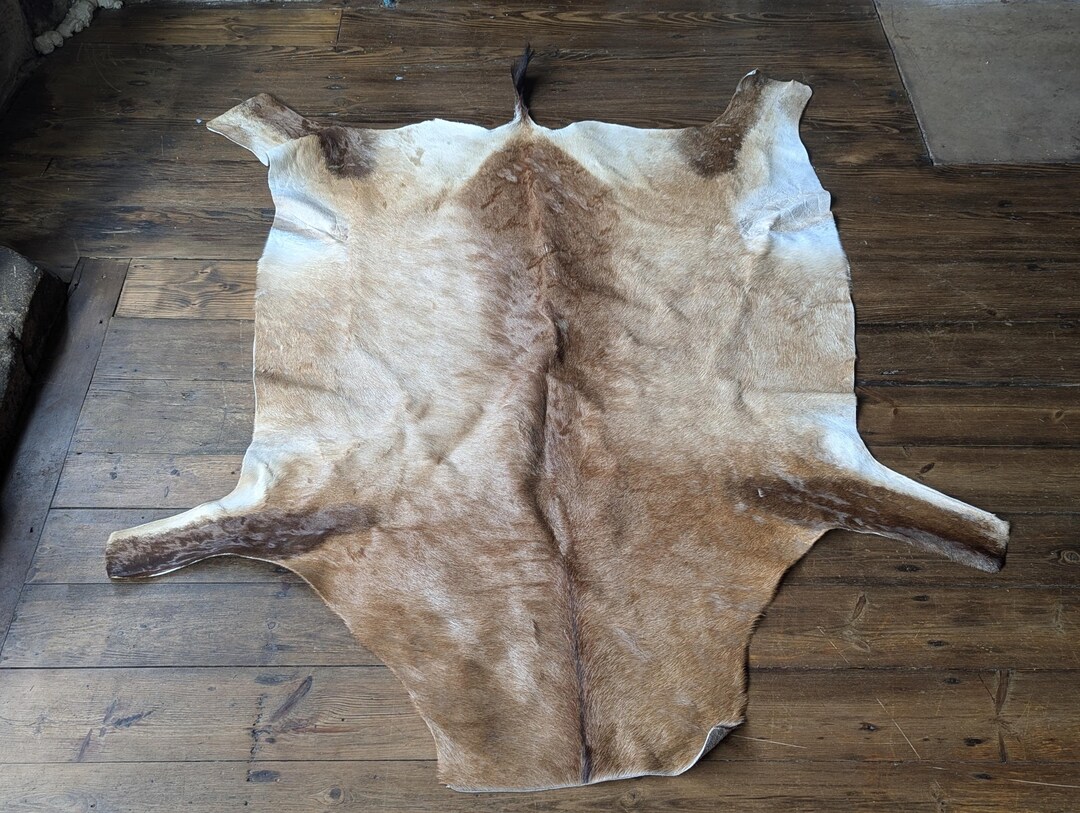 Taxidermy - A Vintage Unusual Red Hartbeest Pelt, Skin, Hide Rug. Large ...