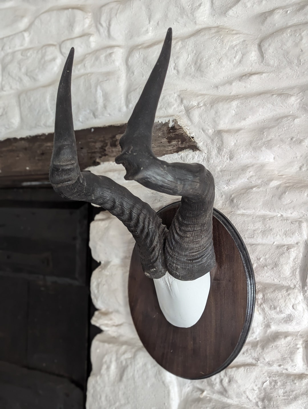 Taxidermy Cape Red Hartebeest Horns & Painted Skull Cap. Mounted on a ...