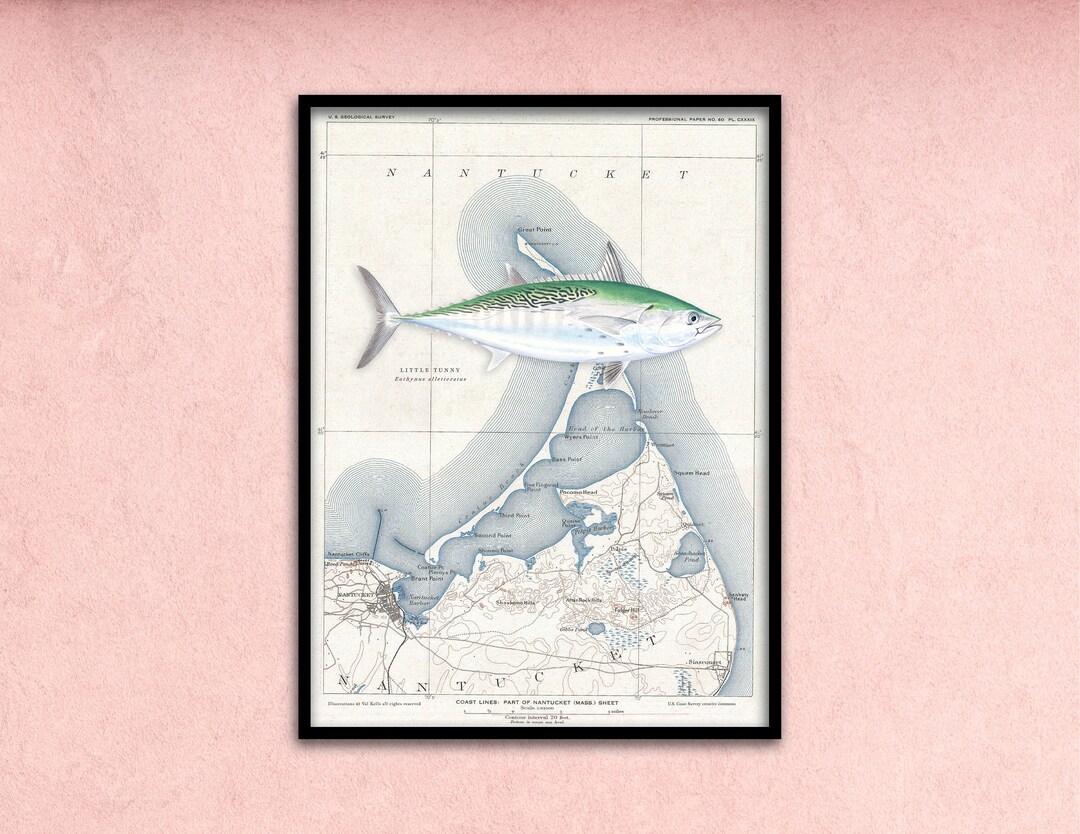 18x24 Little Tunny Poster With Vintage Nantucket NOAA Chart Background ...