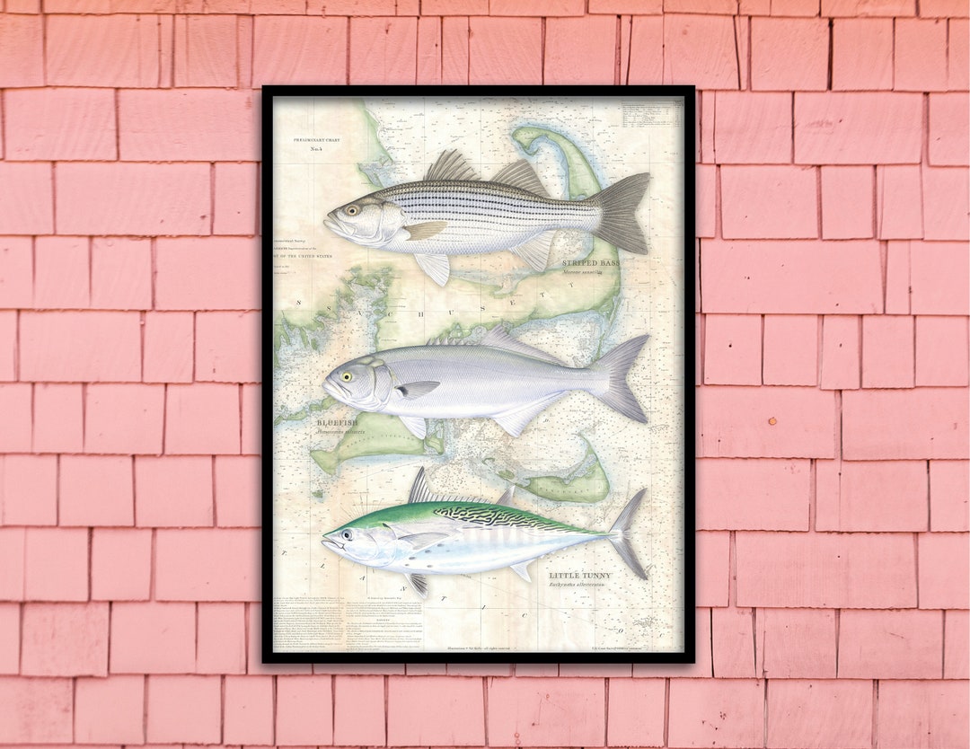 18x24 Cape Cod to Nantucket Vintage NOAA Poster; Cape Cod Poster ...