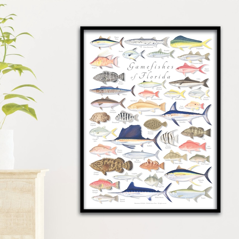 Florida Posters - Etsy