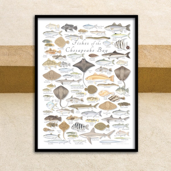 Chesapeake Bay - Etsy