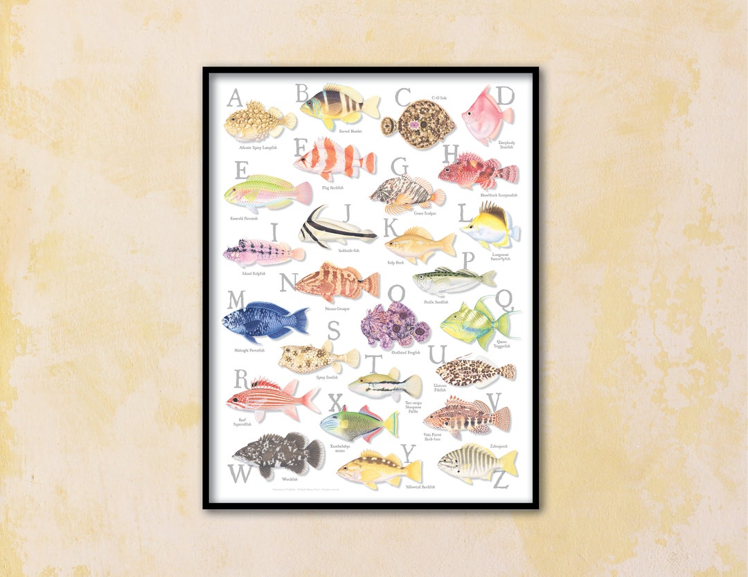 18x24 Fish Alphabet Poster; Fun Alphabet Poster; Super Colorful Fish ...