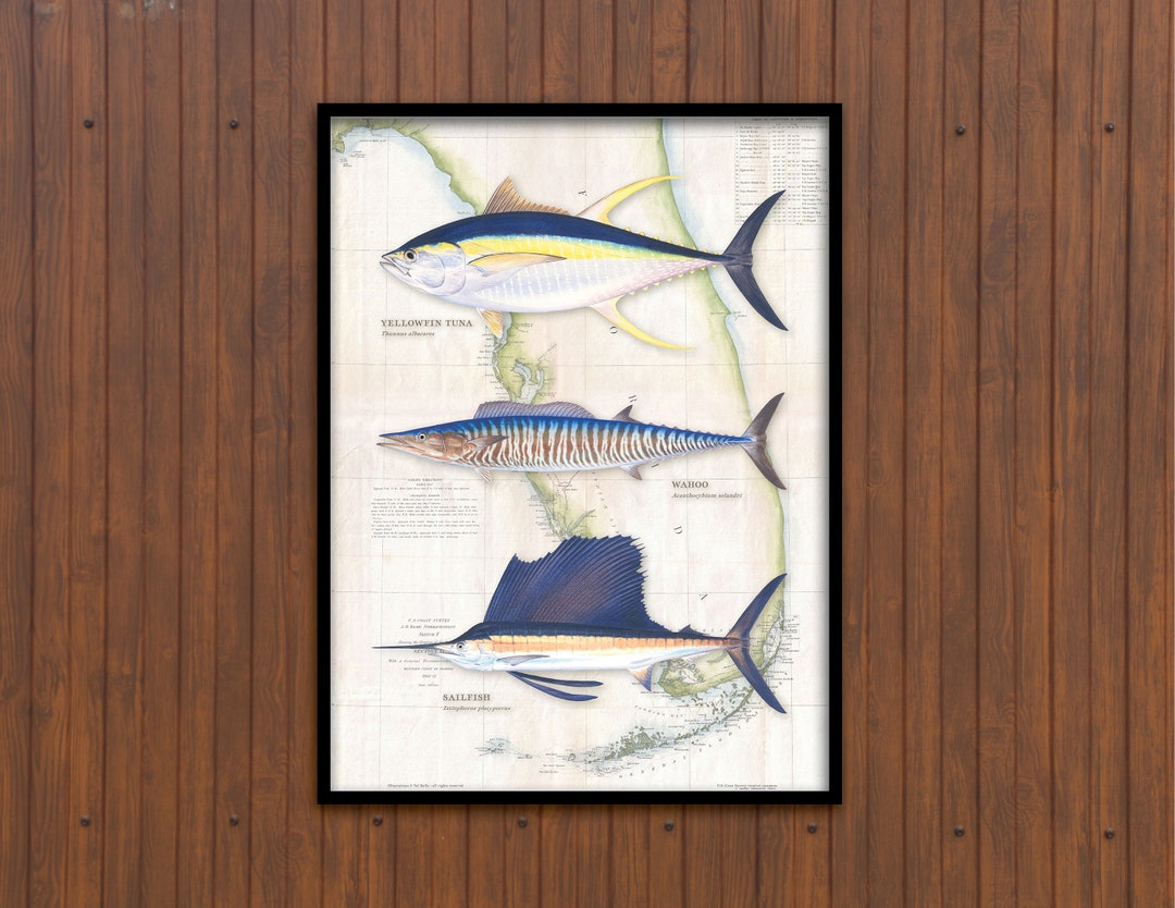 18x24 Florida Vintage NOAA Chart Poster, Yellowfin Poster, Wahoo Poster ...