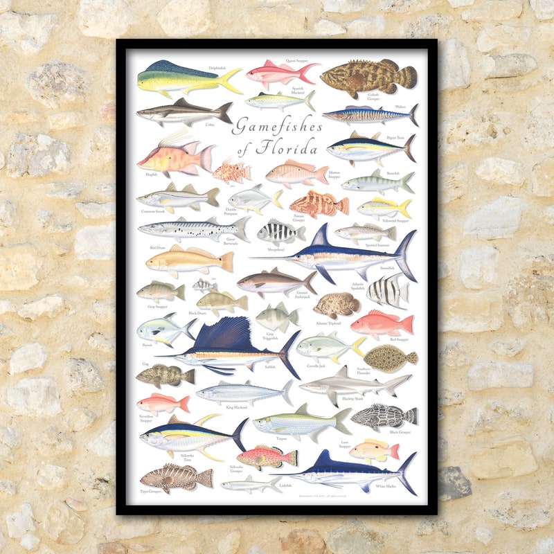 ValKellsNaturePrints - Etsy