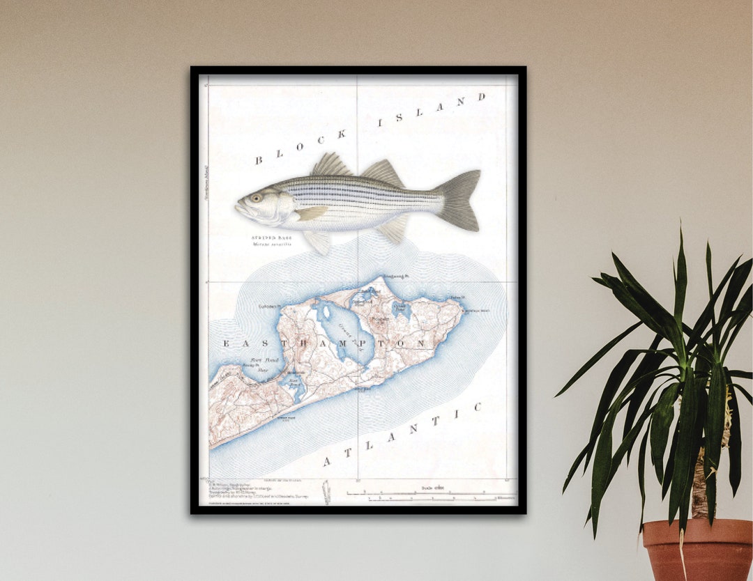 18x24 Striped Bass Poster With Vintage Easthampton / Montauk NOAA ...