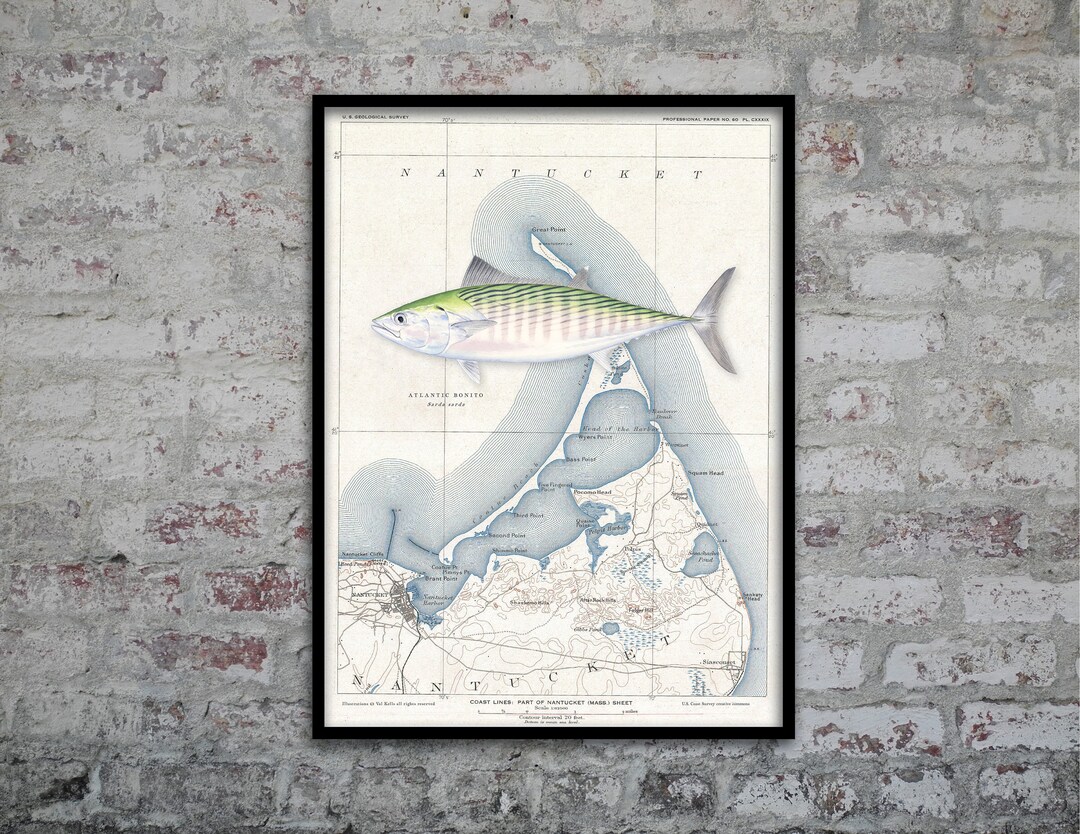 18x24 Atlantic Bonito Poster With Vintage Nantucket NOAA Nautical Chart ...
