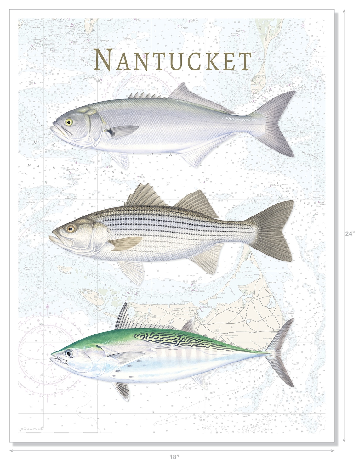 Nantucket NOAA Chart Poster Nantucket Poster NOAA Nautical - Etsy