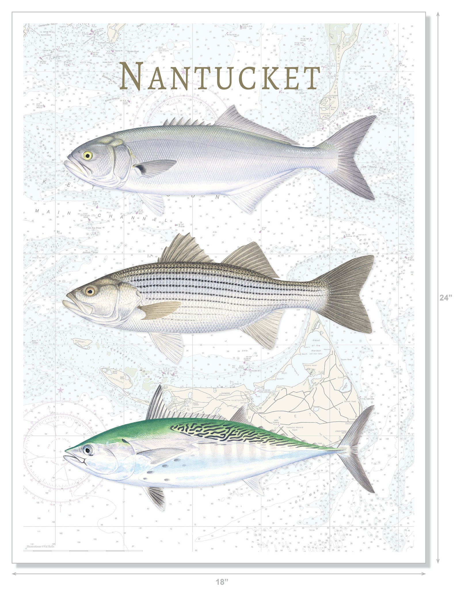 Nantucket NOAA Chart Poster Nantucket Poster NOAA Nautical - Etsy