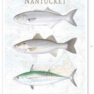 18x24 Nantucket NOAA Chart Poster, Nantucket Poster, NOAA Nautical ...