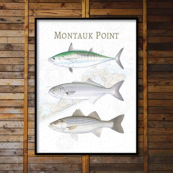 Nautical Chart - Etsy