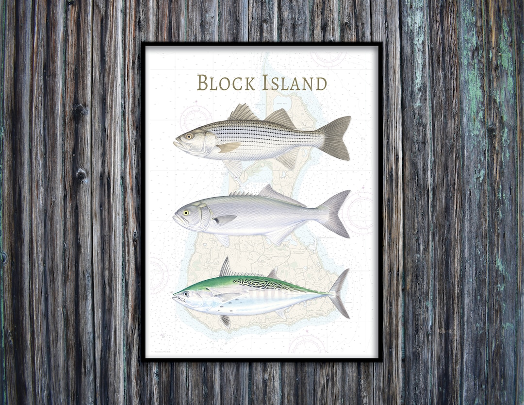 18x24 Block Island NOAA Chart Poster; Block Island Nautical Chart ...