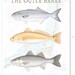 18x24 the Outer Banks NOAA Chart Poster Outer Banks Poster NOAA Chart ...