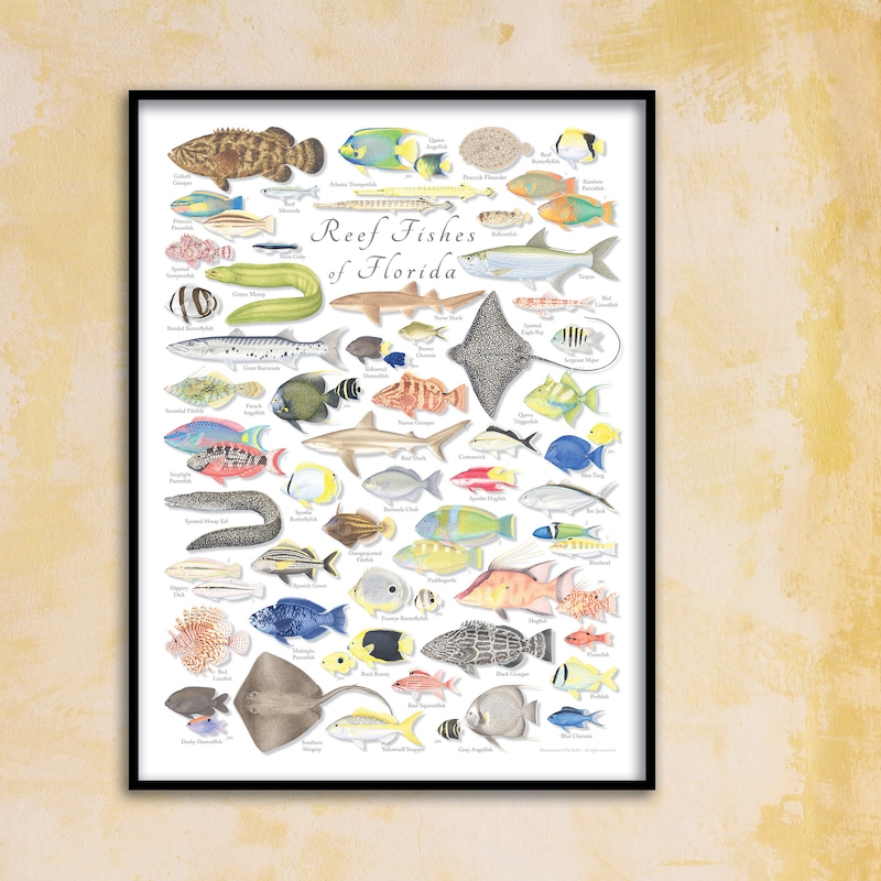 Florida Keys Poster - Etsy