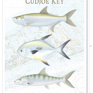 18x24 Cudjoe Key Tarpon Permit Bonefish Poster With NOAA Chart ...