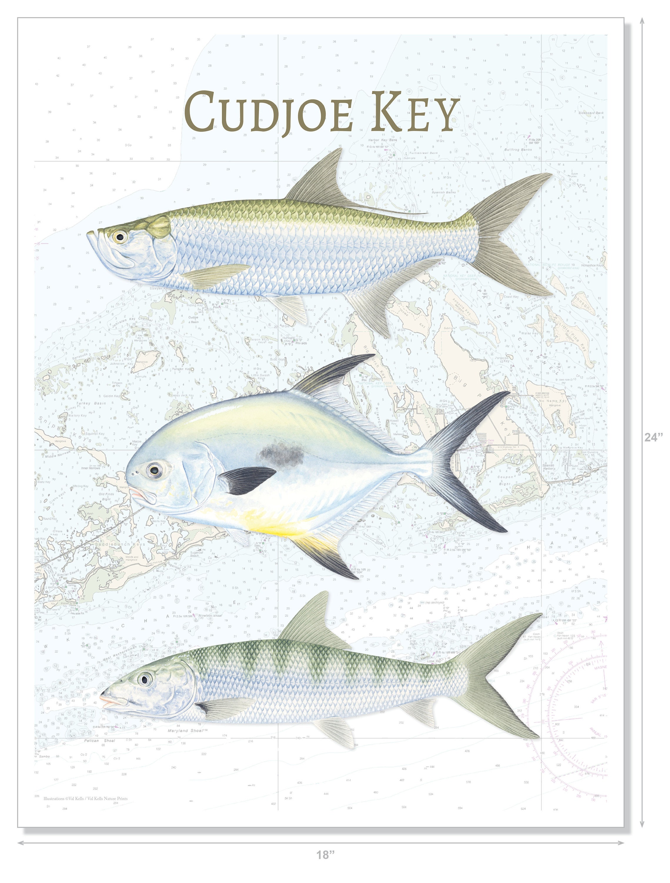 18x24 Cudjoe Key Tarpon Permit Bonefish Poster With NOAA Chart ...