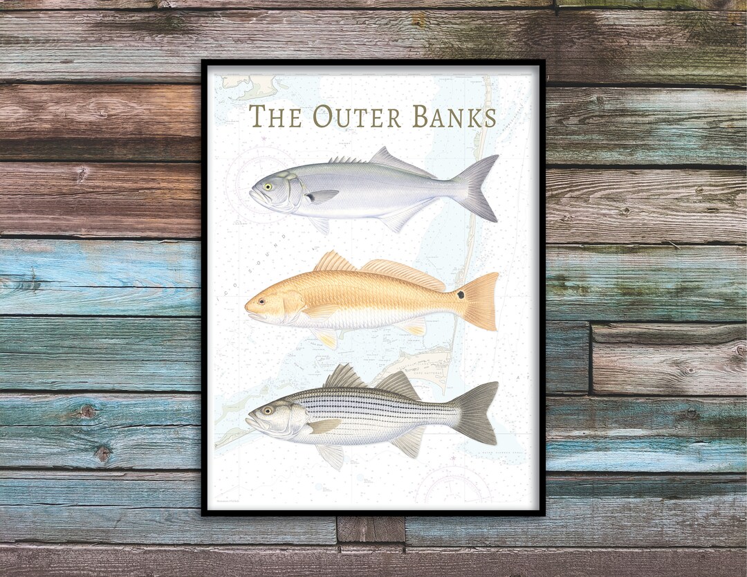 18x24 the Outer Banks NOAA Chart Poster; Outer Banks Poster; NOAA Chart ...