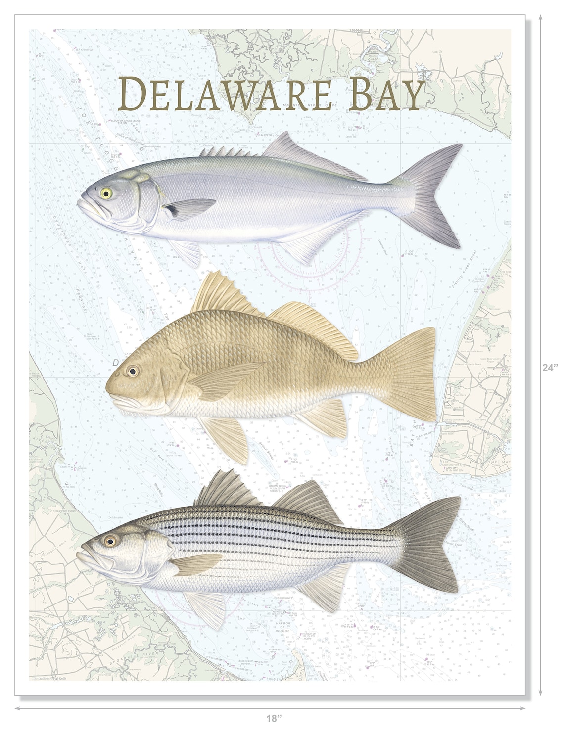 Delaware Bay NOAA Chart Poster Delaware Bay poster Delaware | Etsy