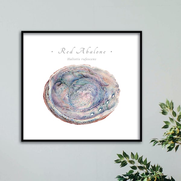 ValKellsNaturePrints - Etsy