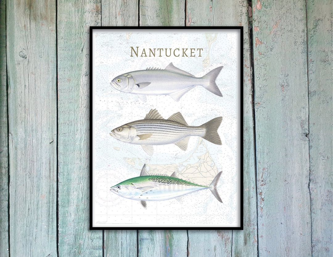 18x24 Nantucket NOAA Chart Poster, Nantucket Poster, NOAA Nautical ...