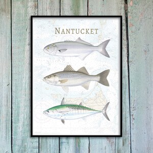 18x24 Nantucket NOAA Chart Poster, Nantucket Poster, NOAA Nautical ...