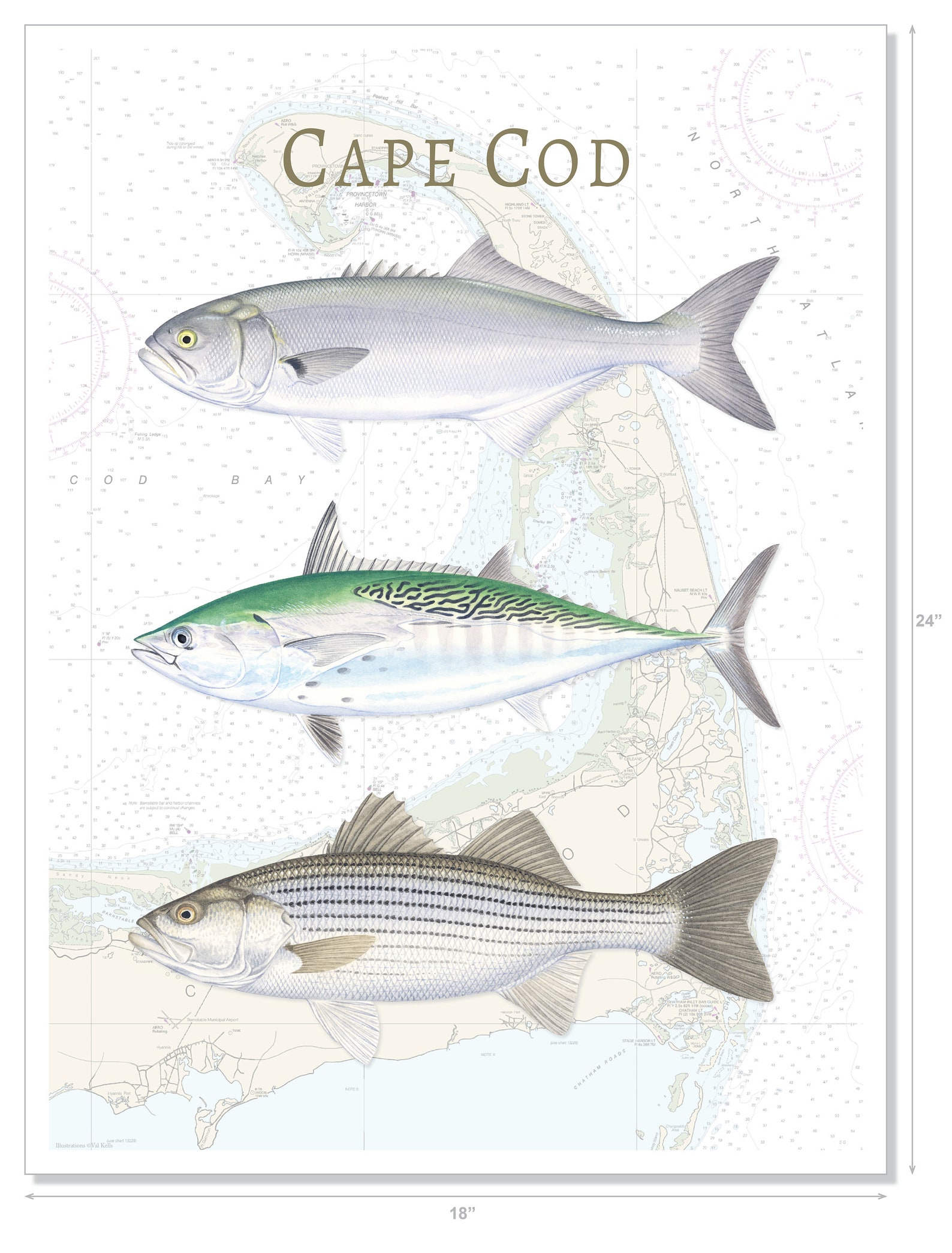 Cape Cod NOAA Chart Poster Cape Cod Nautical Chart Poster - Etsy
