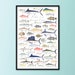 24x36 Offshore Fishes of the Atlantic & Gulf of Mexico Poster, Offshore ...