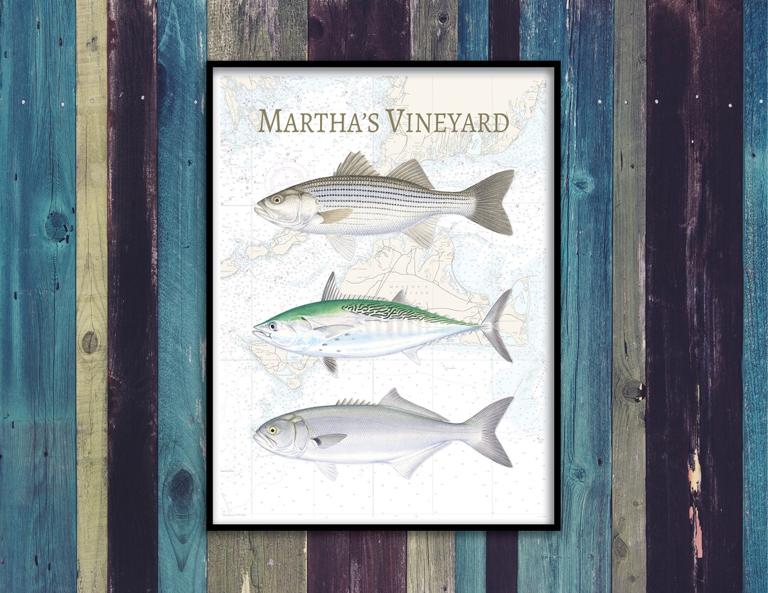 18x24 Martha's Vineyard NOAA Chart Poster; Martha's Vineyard Poster ...