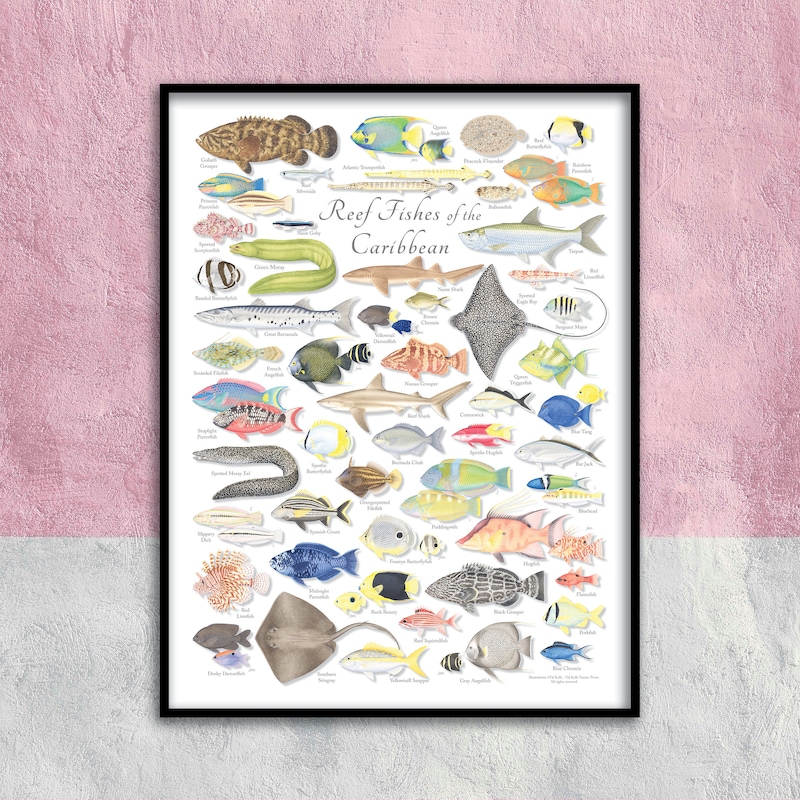 ValKellsNaturePrints - Etsy