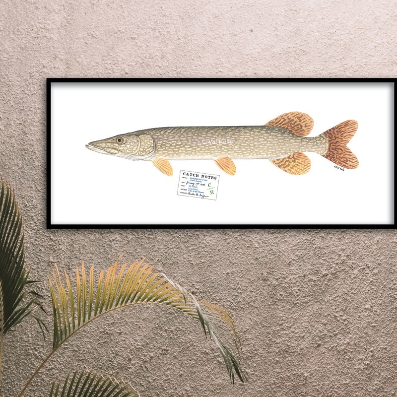 Northern Pike - Etsy