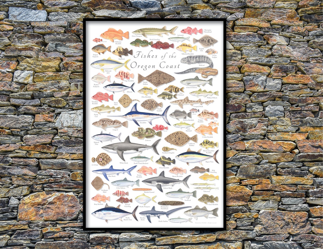 24x36 Fishes of the Oregon Coast Poster, Oregon Fish Poster, Oregon ...