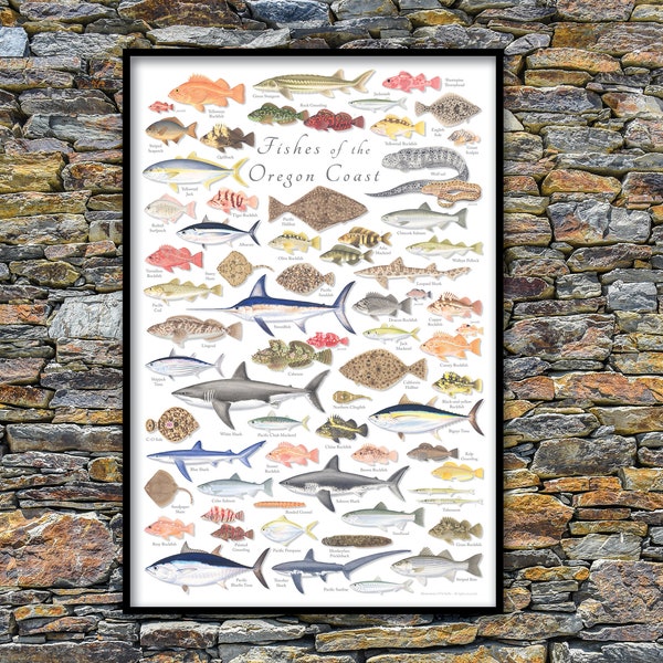 Fish Poster - Etsy