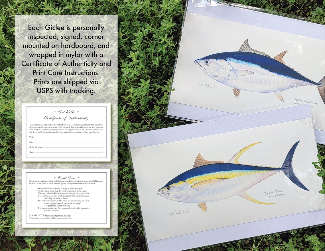 Striped Marlin Sailfish Blue Marlin Grand Slam Giclee Print | Etsy