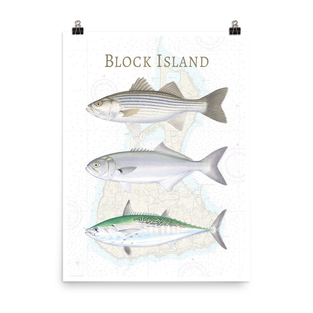 18x24 Block Island NOAA Chart Poster Block Island Nautical Chart Poster ...